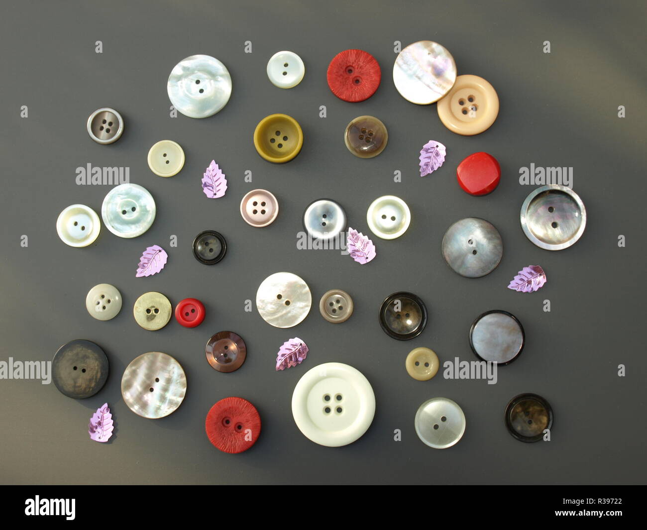 Permluttkna pfe hi-res stock photography and images - Alamy