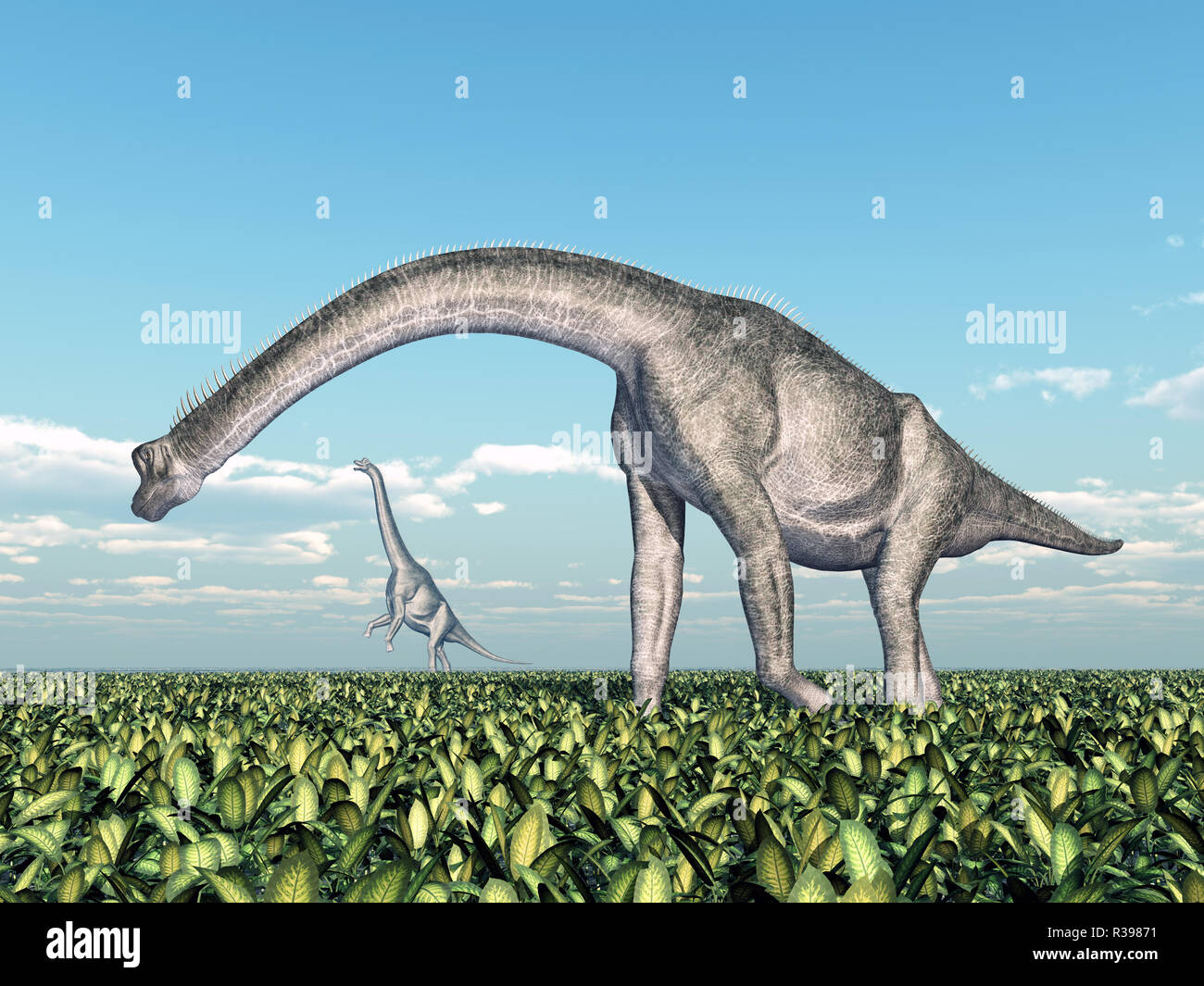 Dinosaur brachiosaurus hi-res stock photography and images - Alamy