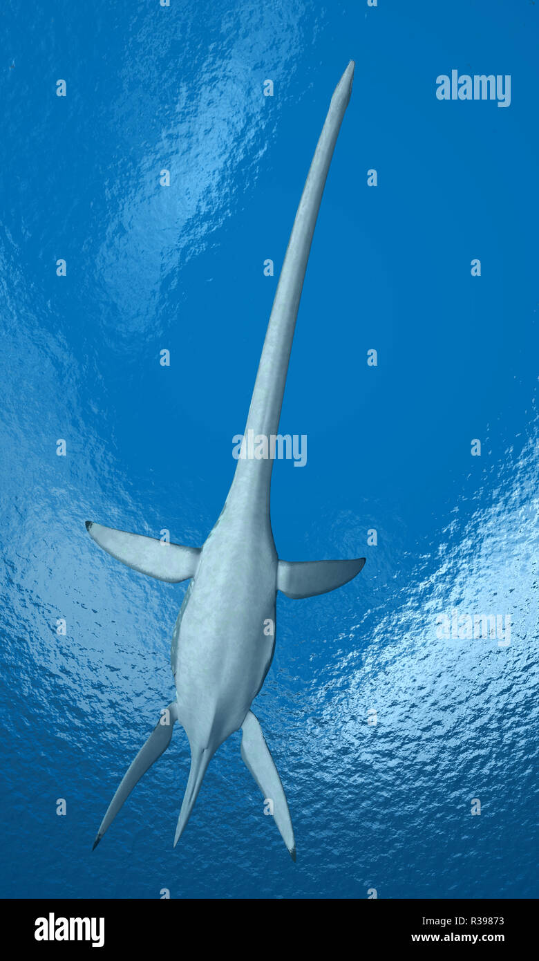 Plesiosaurus ocean hi-res stock photography and images - Alamy