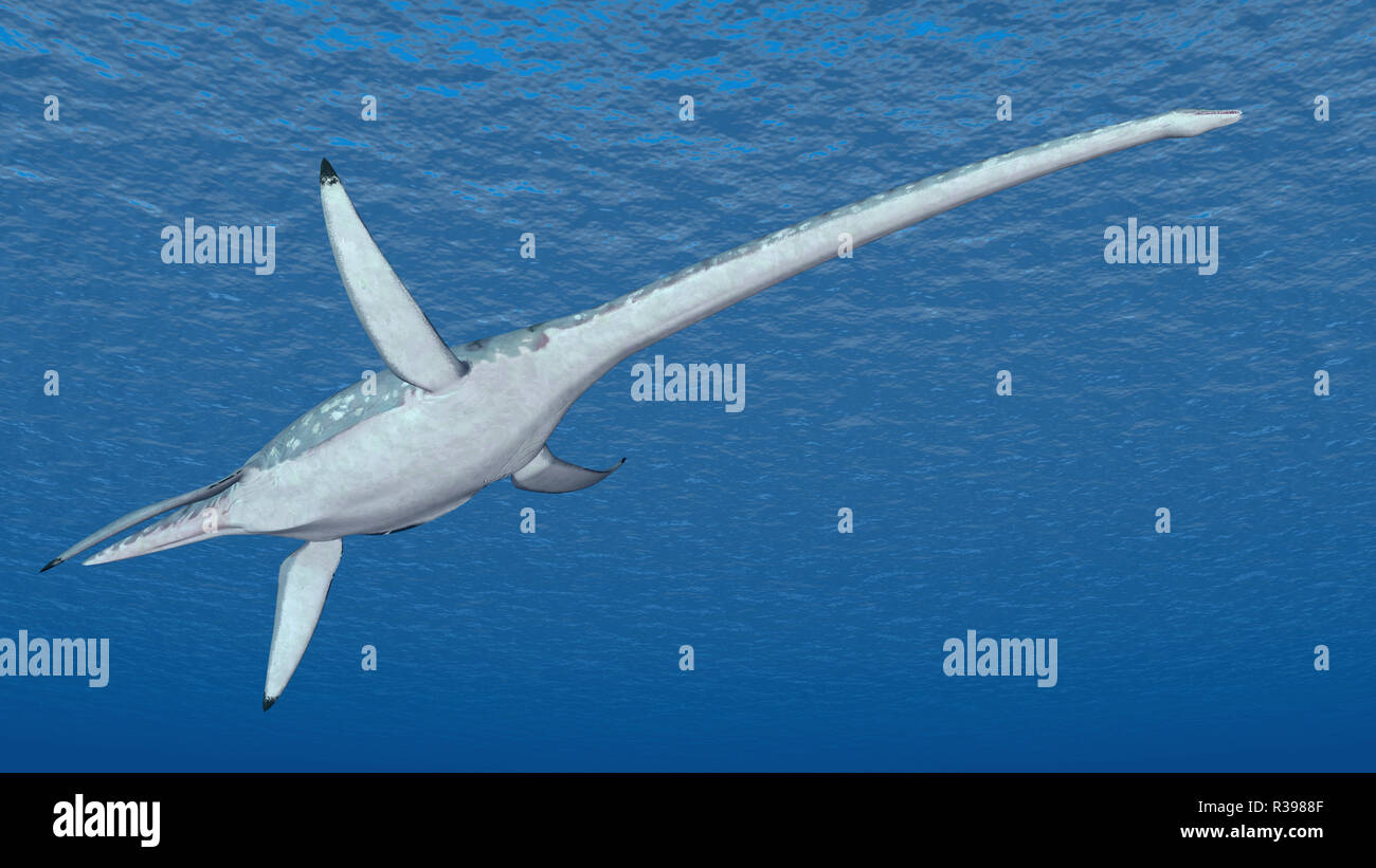 Plesiosaurus ocean hi-res stock photography and images - Alamy