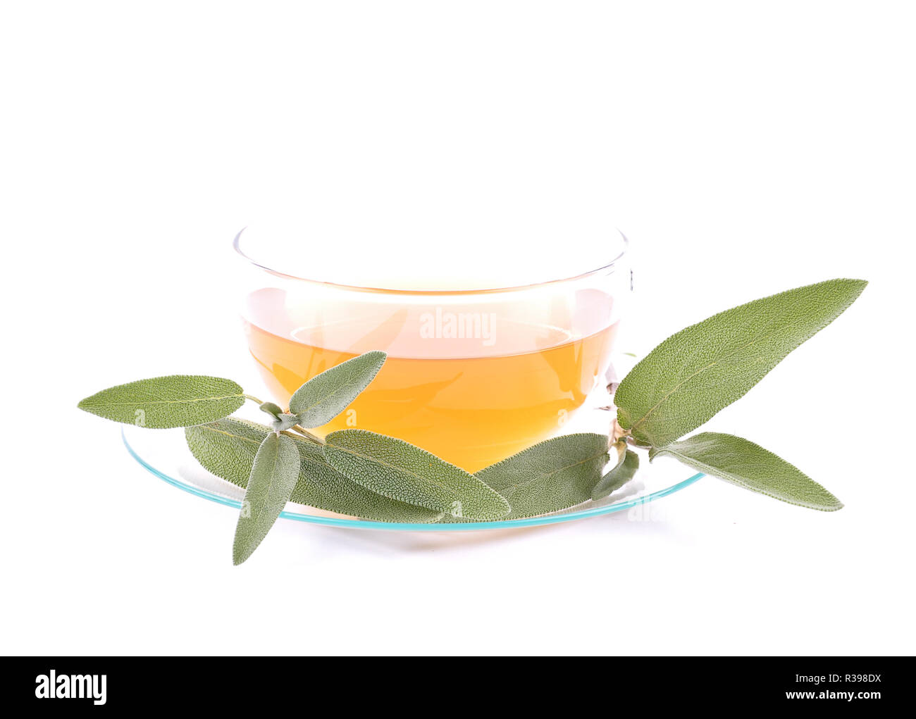 Salbeibla tter hi-res stock photography and images - Alamy