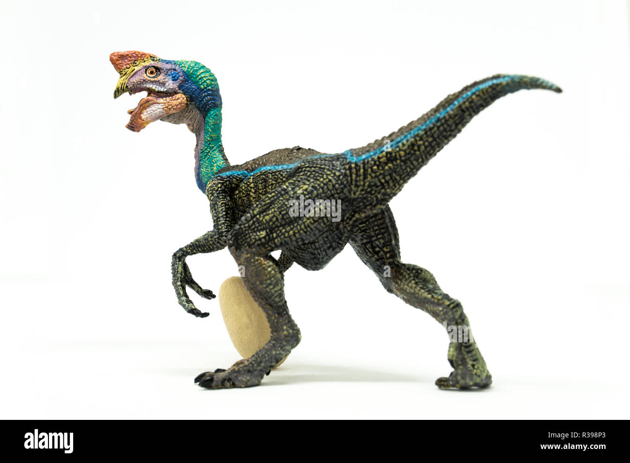 Oviraptor isolated on white background Stock Photo - Alamy