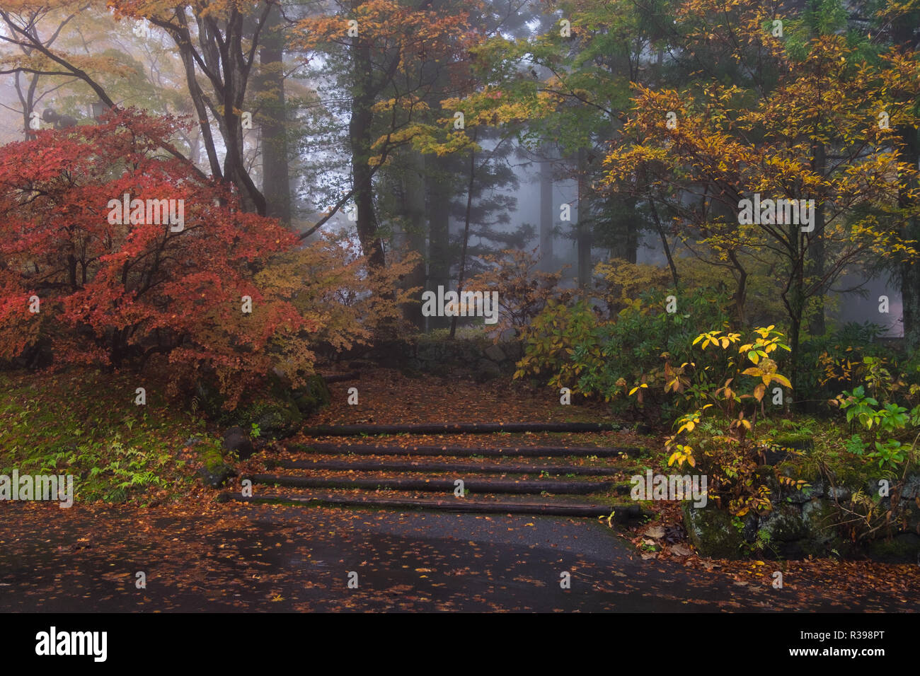 Stone stairs in a mist, fog, during fall color in Nikko, Japan Stock ...