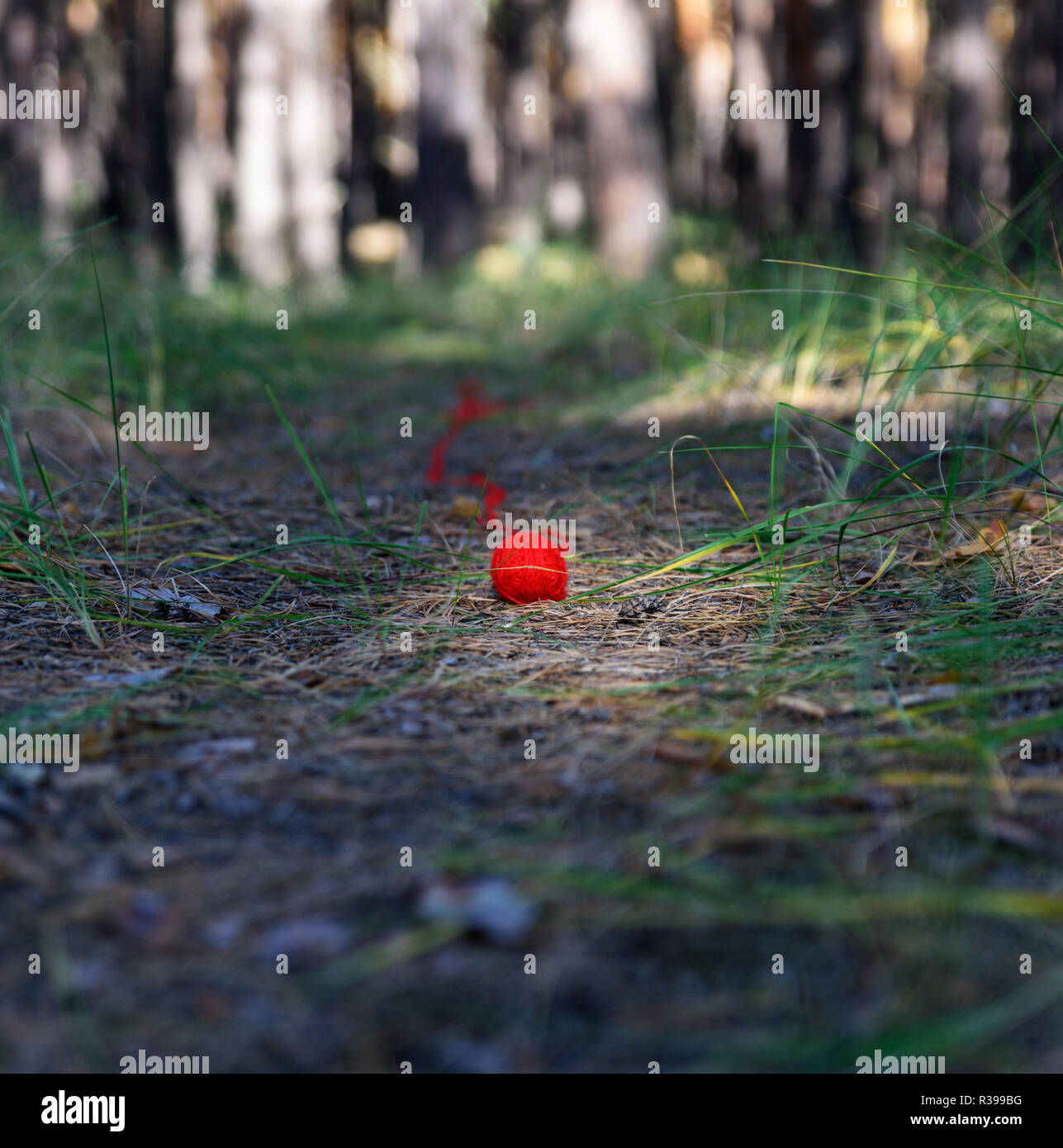 unwound small red ball of wool yarn on a footpath in the middle of a ...