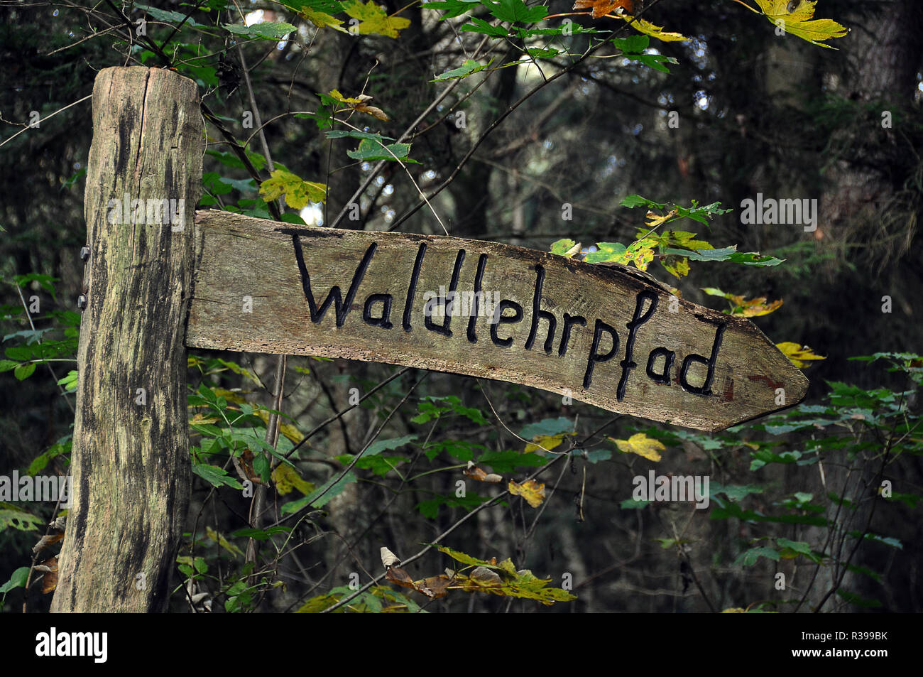 Waldzeichen hi-res stock photography and images - Alamy