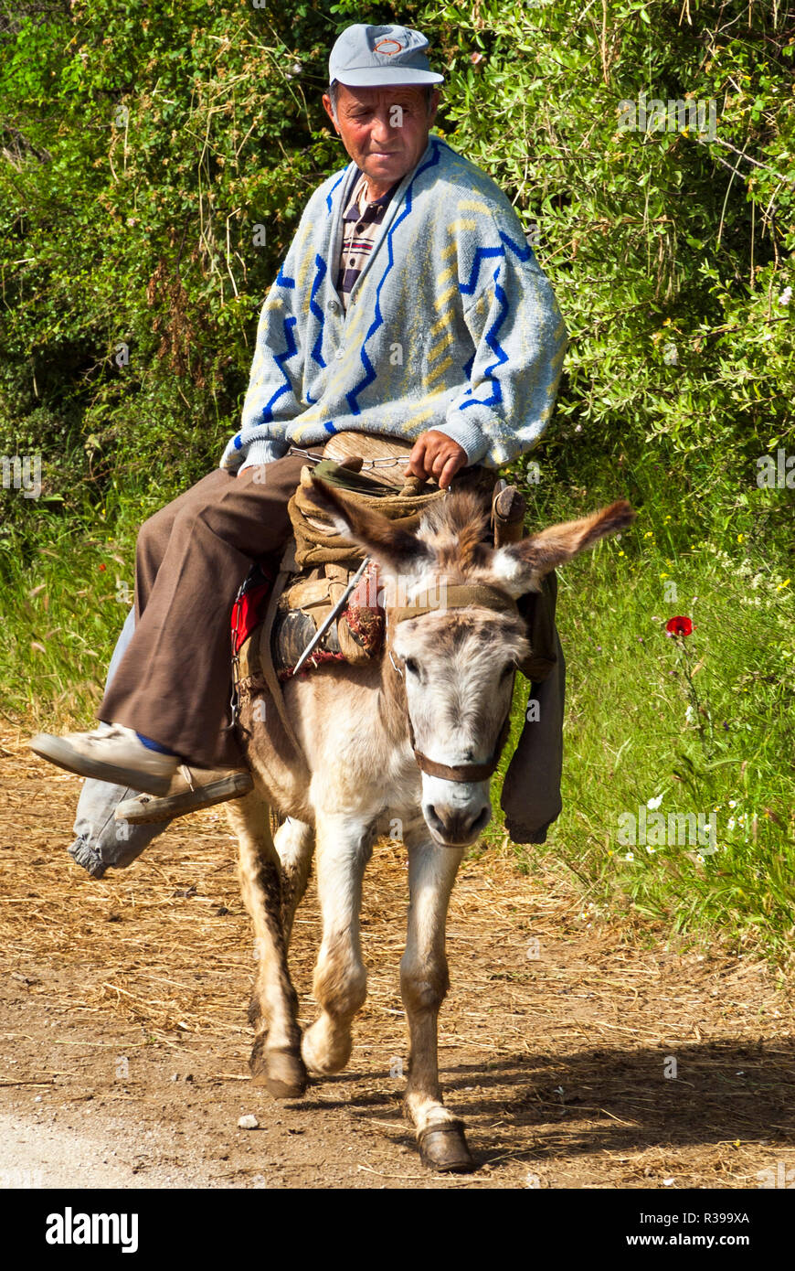 Albanian farmer on donkey in rural Albania Stock Photo - Alamy