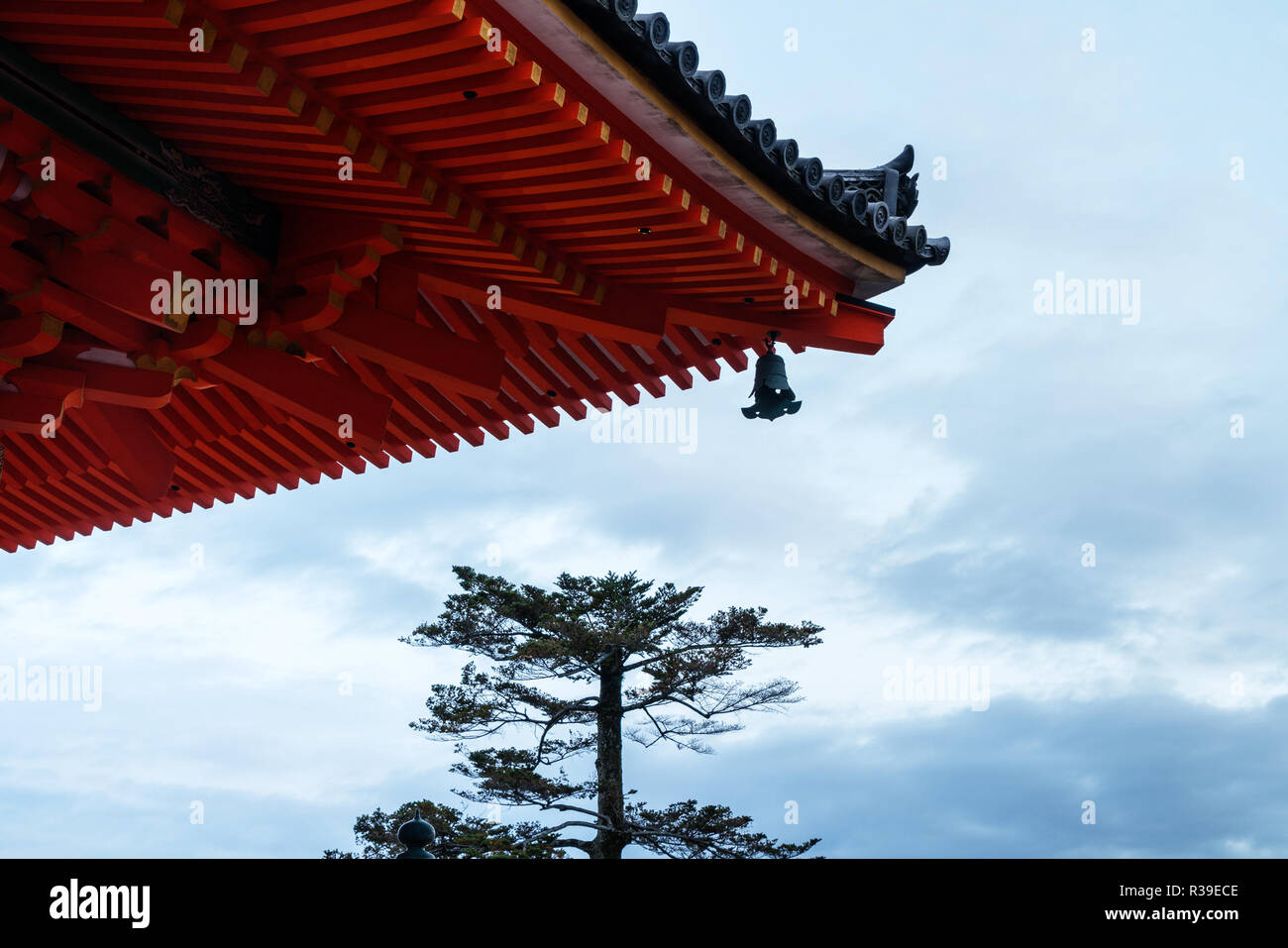 Kita hosso sect hi-res stock photography and images - Alamy