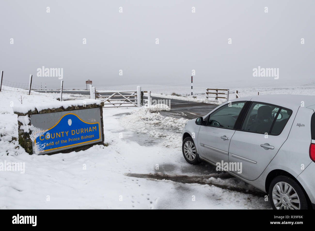 Yad moss hi-res stock photography and images - Alamy