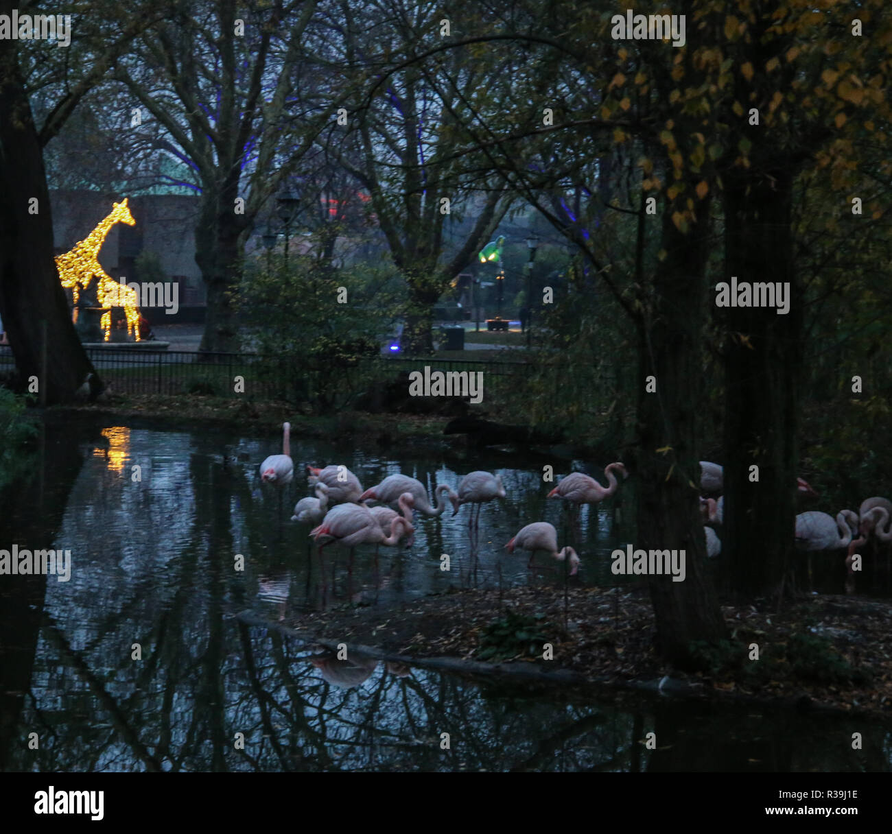 London UK 22 November 2018 with over one million pea lights, 200 visual ...