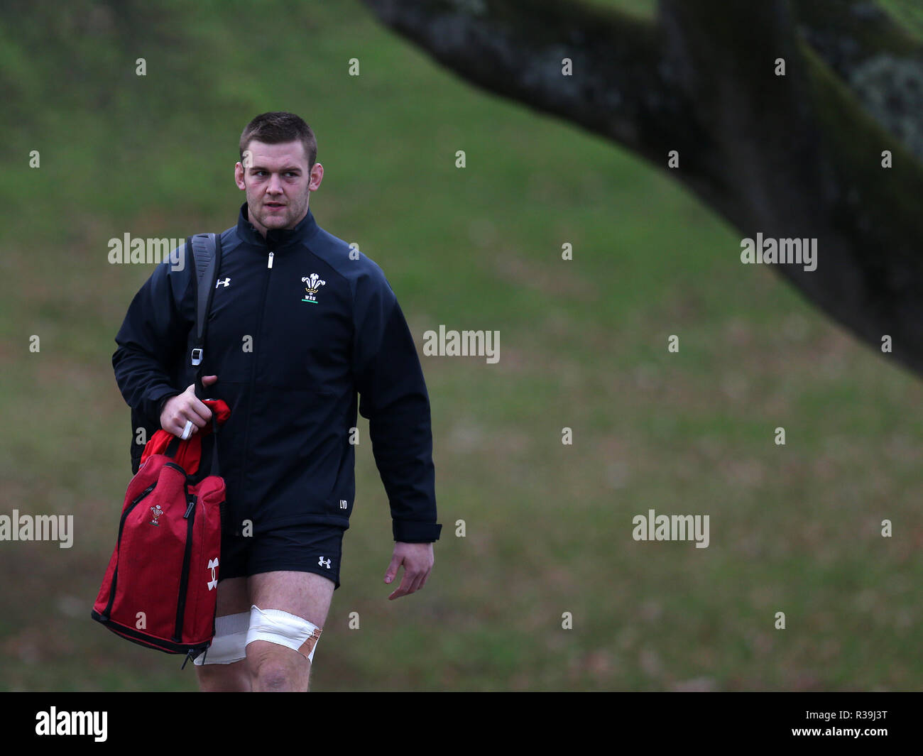 Cardiff, Wales, UK. 22nd Nov 2018. Wales rugby player Dan Lydiate ...