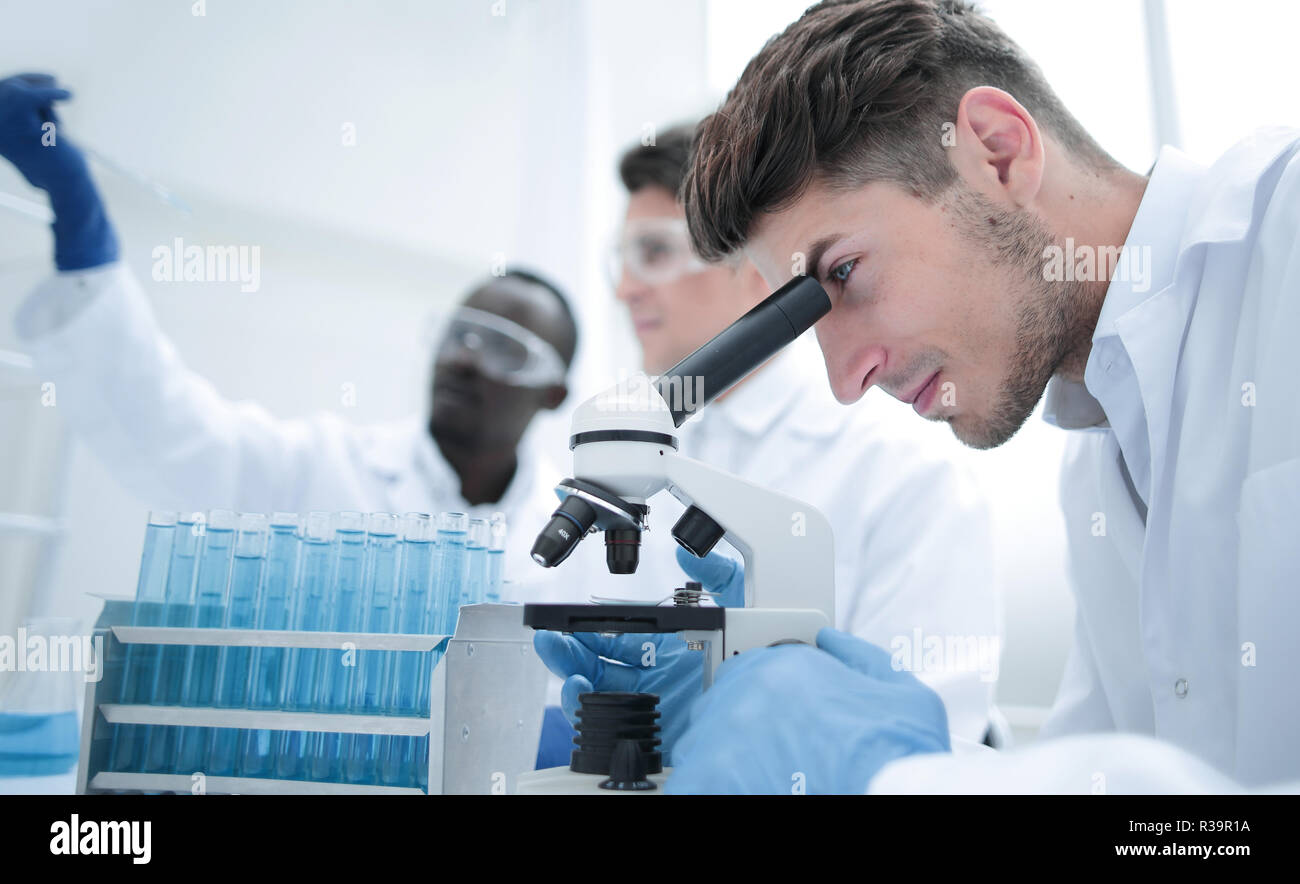 Professional smart scientists working hi-res stock photography and ...