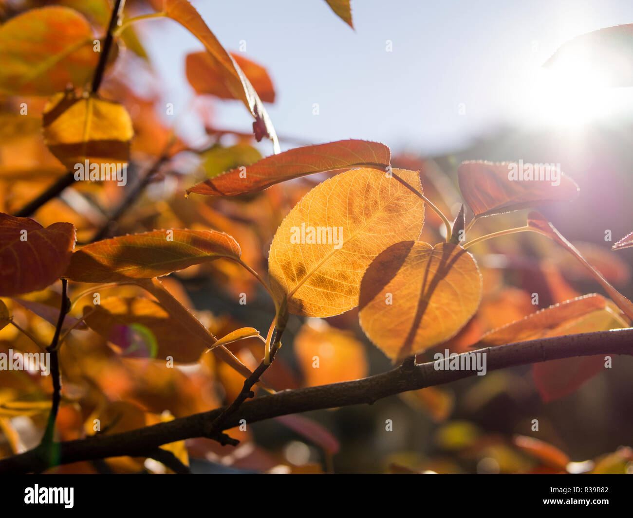 Sunshine bright colors hi-res stock photography and images - Alamy