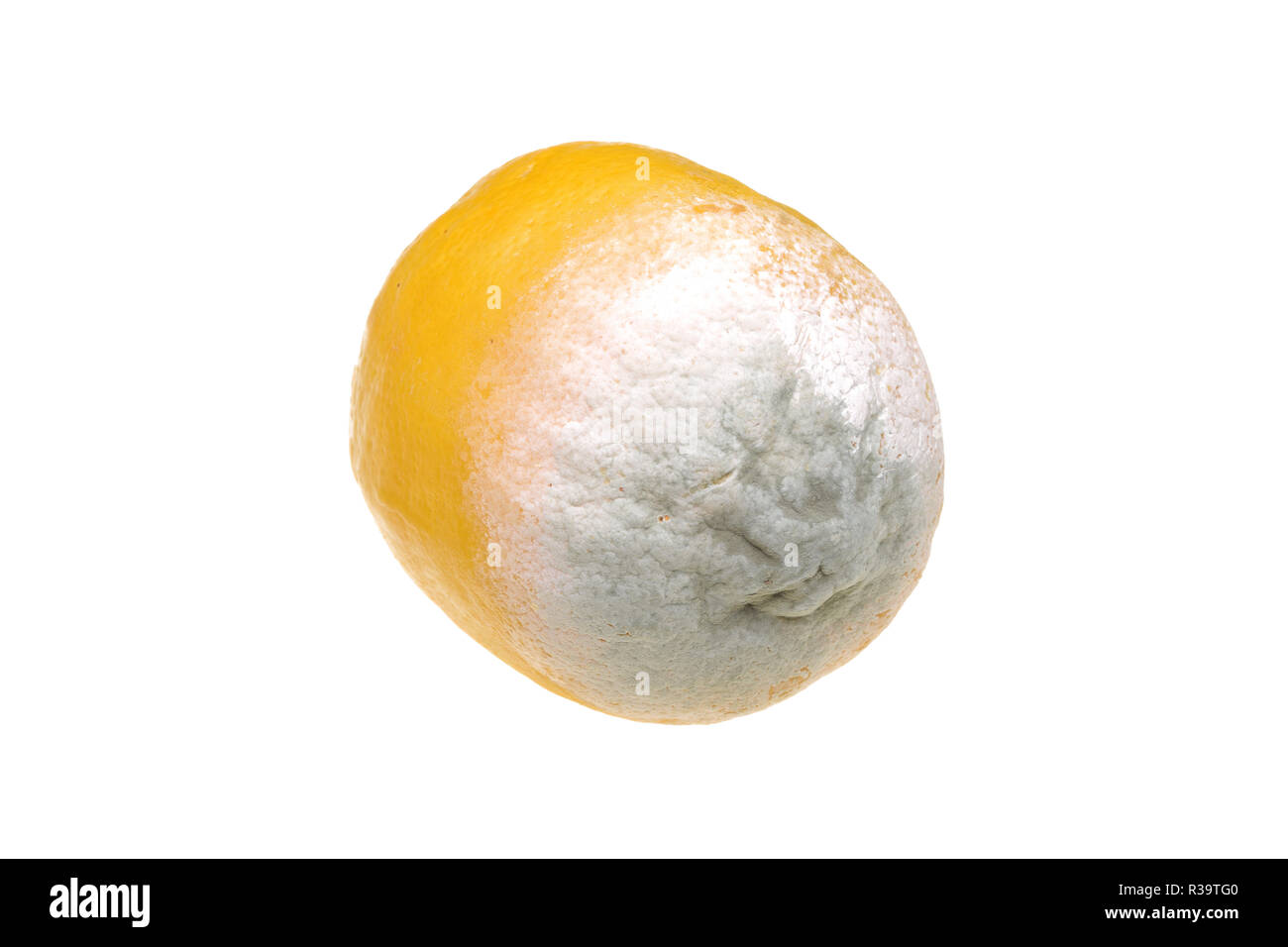 Lemon with mold isolated on white background Stock Photo - Alamy