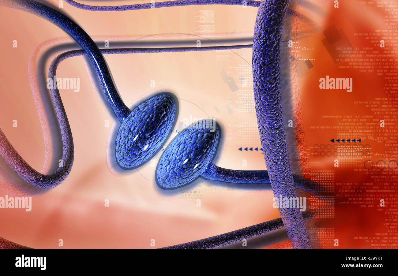 Neural Transmitter High Resolution Stock Photography and Images - Alamy