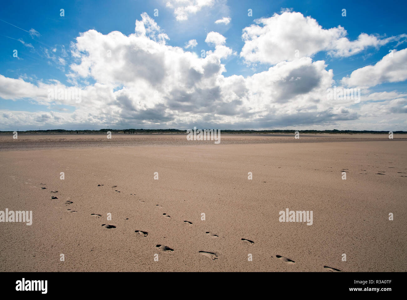 at the beach Stock Photo - Alamy