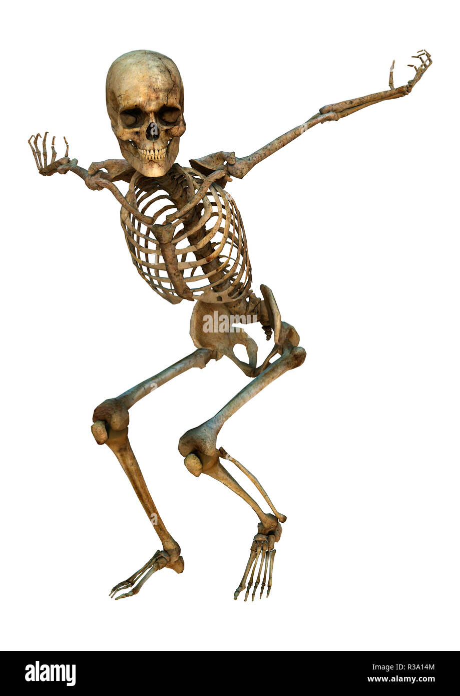 Anatomic position hi-res stock photography and images - Alamy