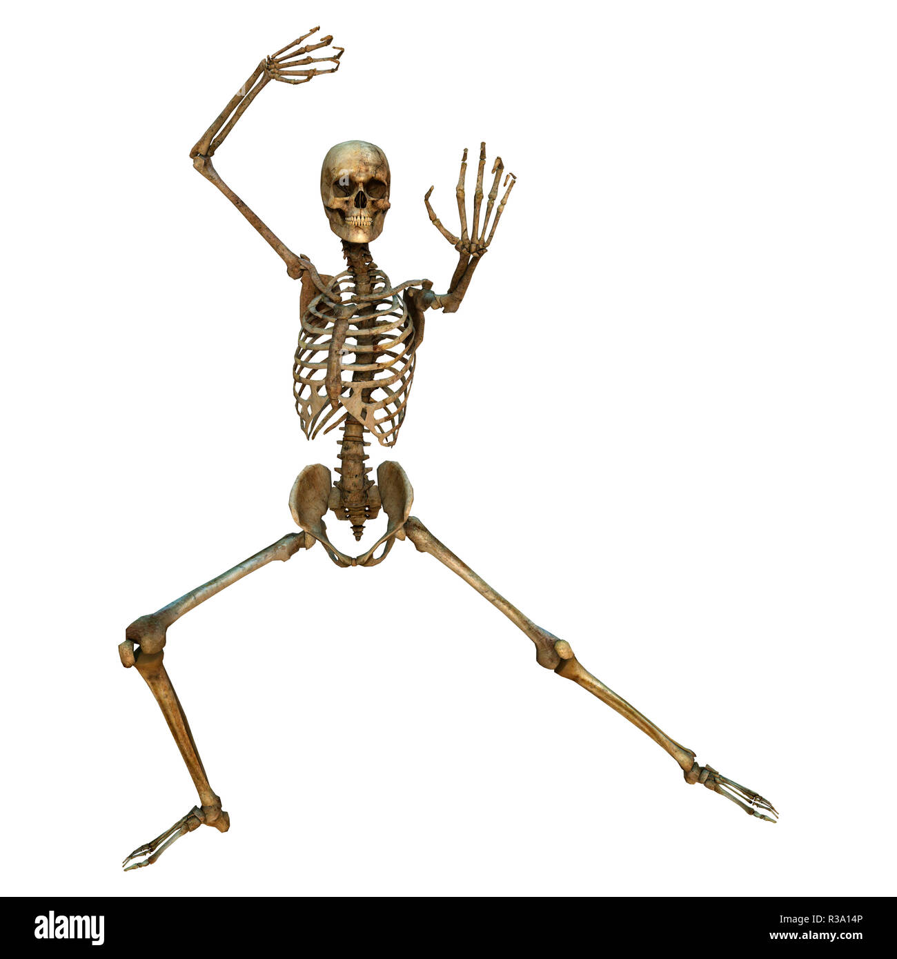 Longtiger hi-res stock photography and images - Alamy