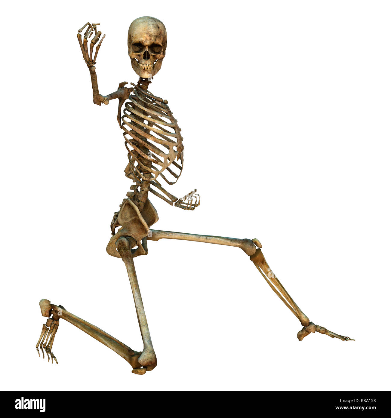 Oizuki hi-res stock photography and images - Alamy