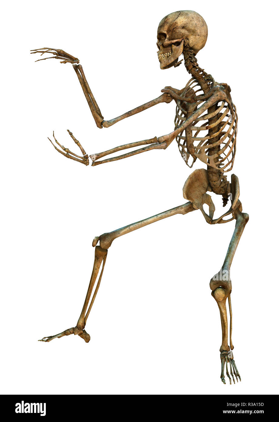 Fighting skeleton hi-res stock photography and images - Alamy