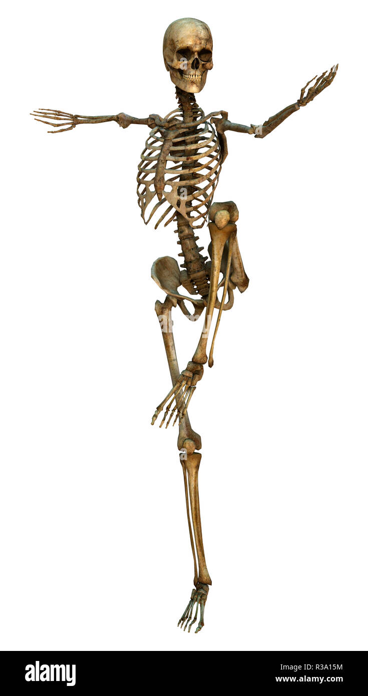 Chicken skeleton illustration hi-res stock photography and images - Alamy