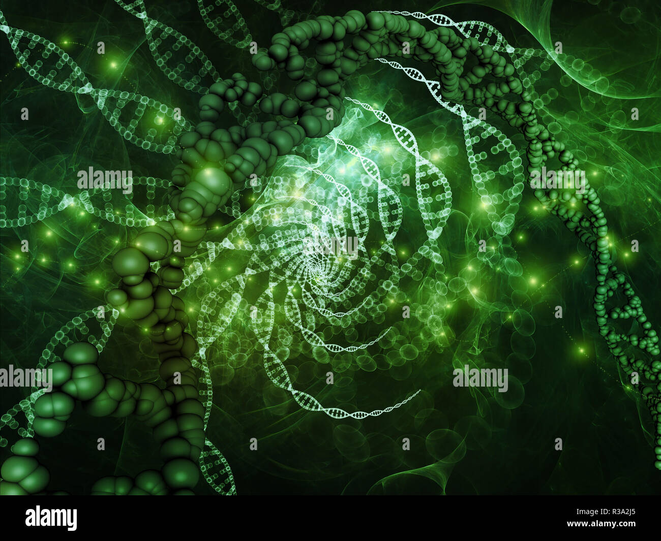Creation science movement hi-res stock photography and images - Alamy