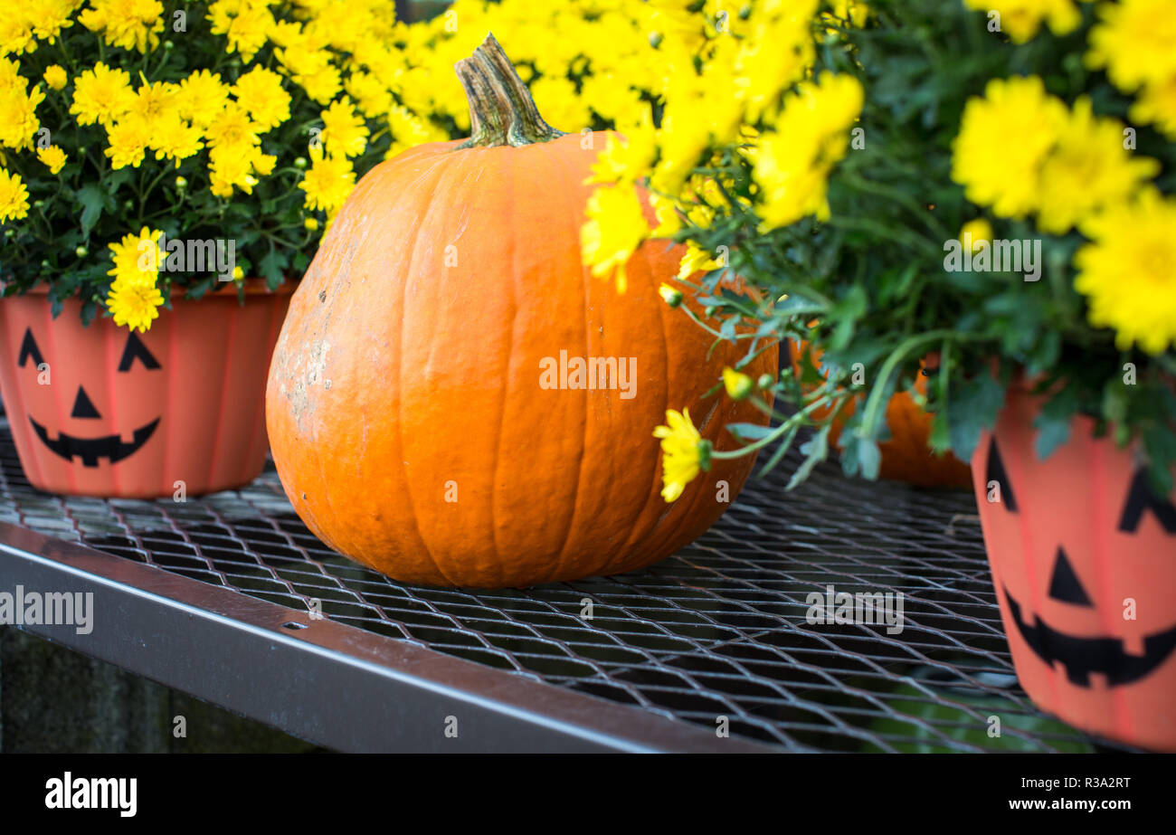Scary pots hi-res stock photography and images - Alamy