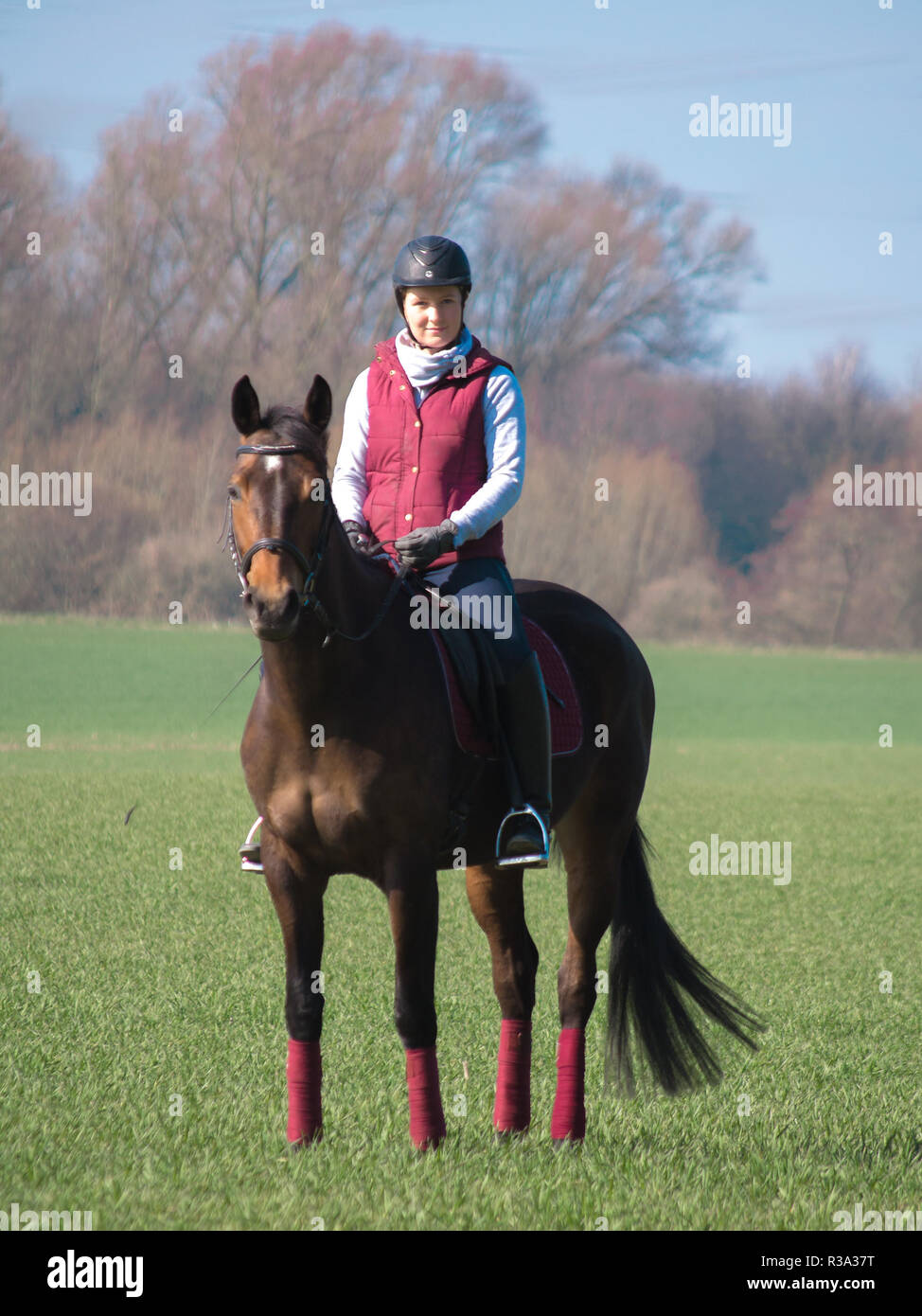 horse with rider Stock Photo - Alamy