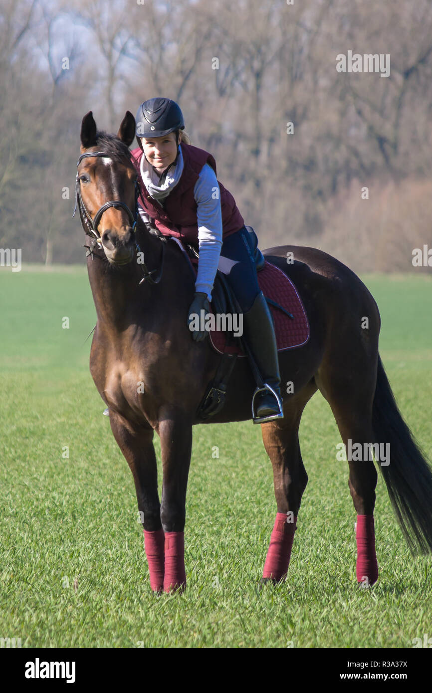 horse with rider Stock Photo - Alamy