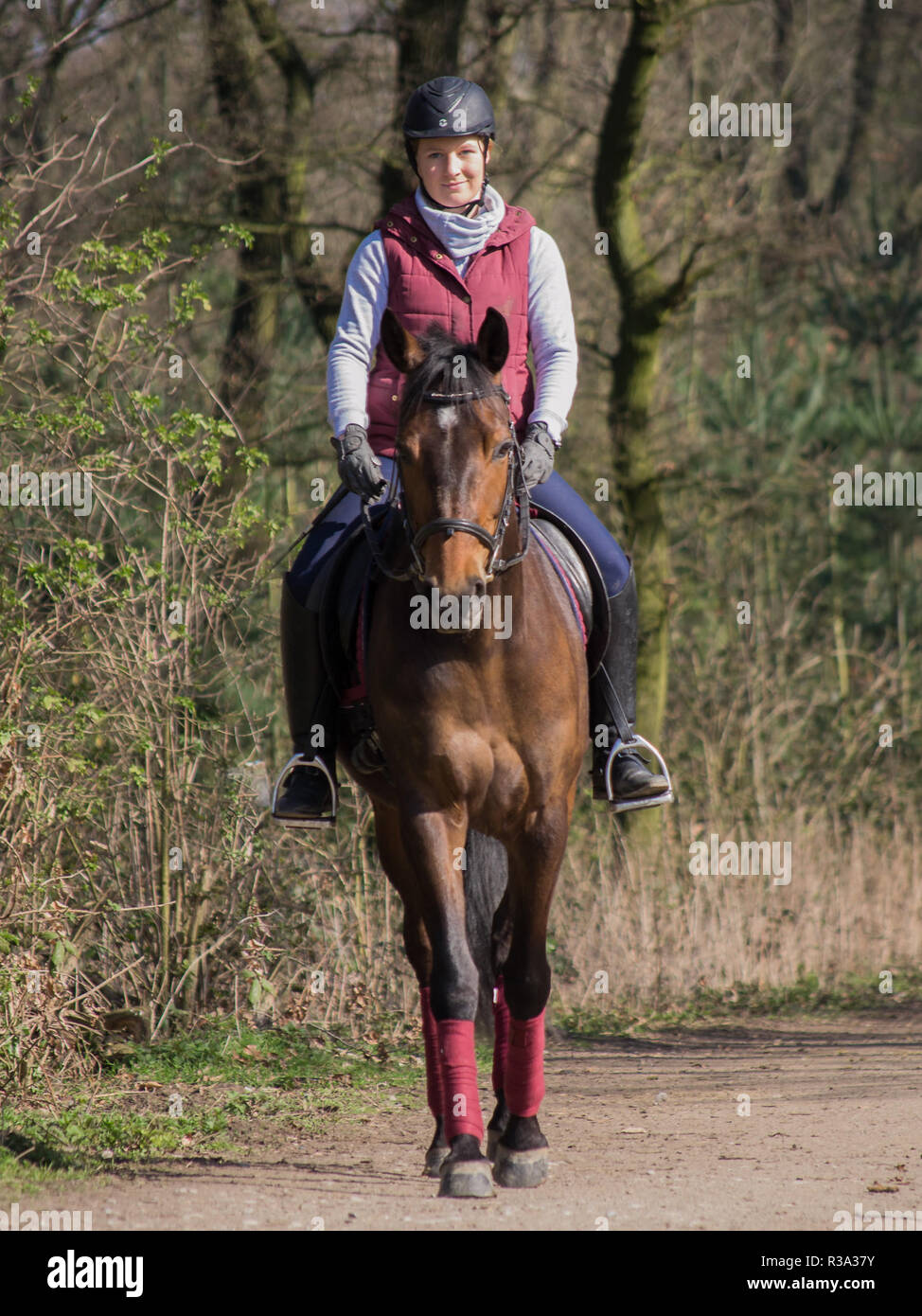 horse with rider Stock Photo - Alamy