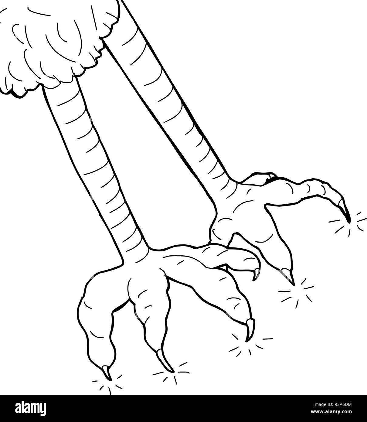 Talons Claws Foot Stock Photos & Talons Claws Foot Stock Images - Alamy