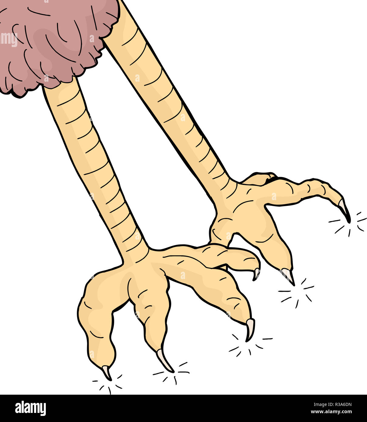 Talons claws foot hi-res stock photography and images - Alamy