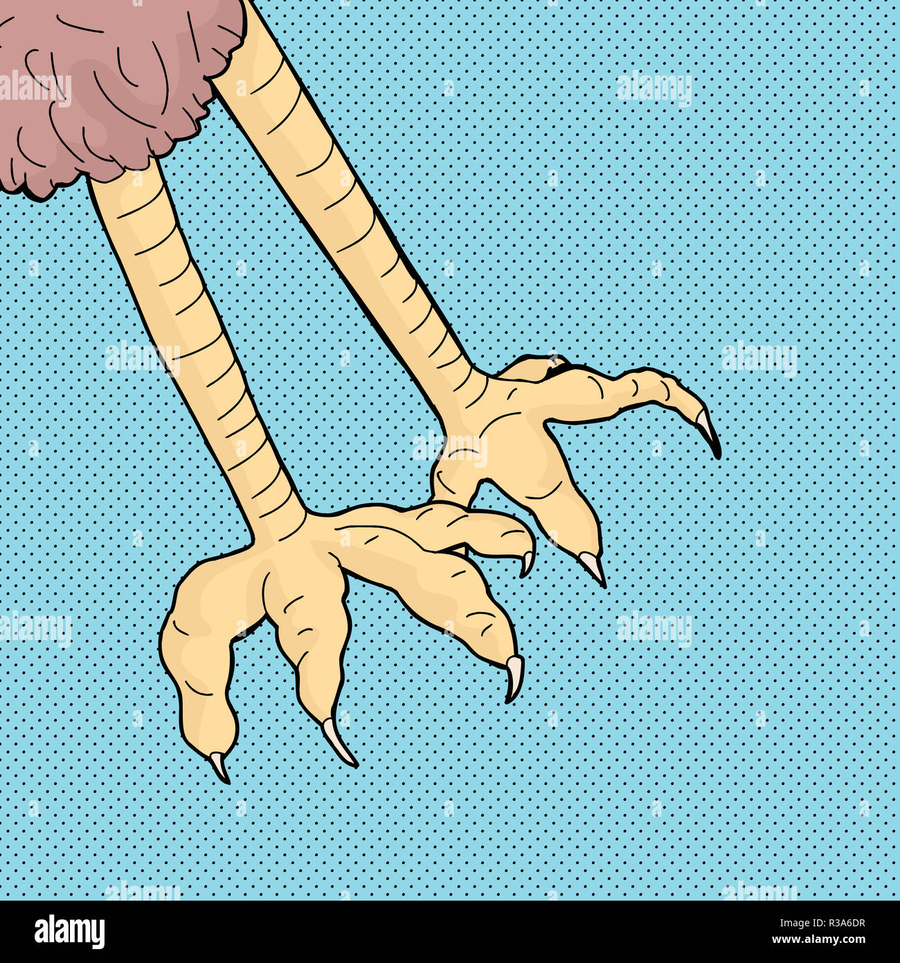 Talons claws foot hi-res stock photography and images - Alamy