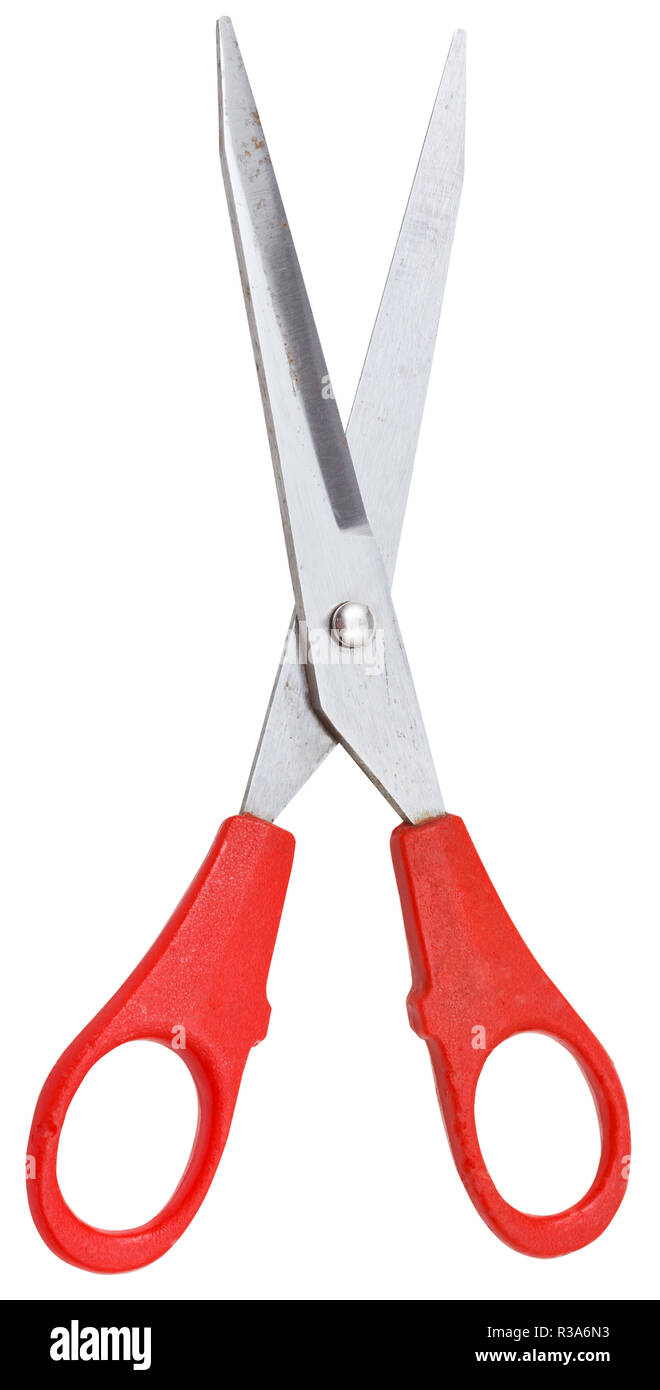 Blade of standard Cut Out Stock Images & Pictures - Alamy