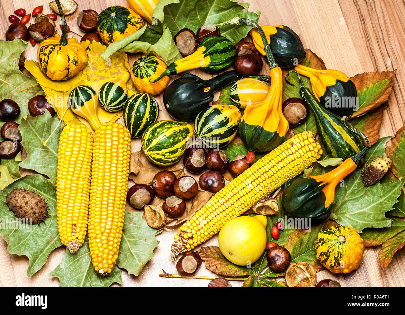 Green gourds hi-res stock photography and images - Alamy