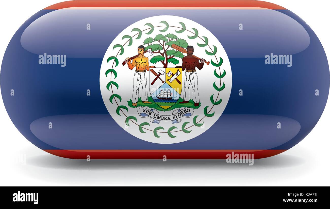 Belize flag, vector illustration on a white background Stock Vector ...
