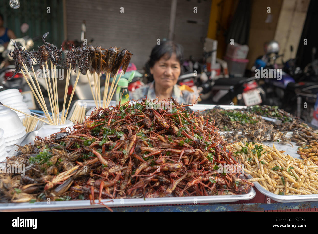 A lady seen selling bugs and insects in Chinatown, Bangkok, Thailand ...