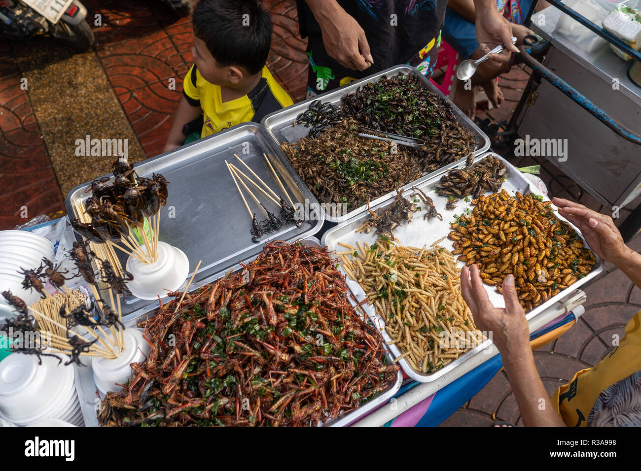 A lady seen selling bugs and insects in Chinatown, Bangkok, Thailand ...