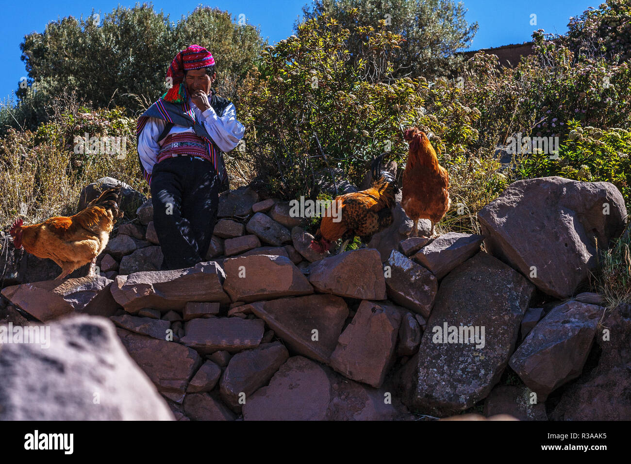 Local resident resting on the rocks with his 3 chickens Stock Photo - Alamy
