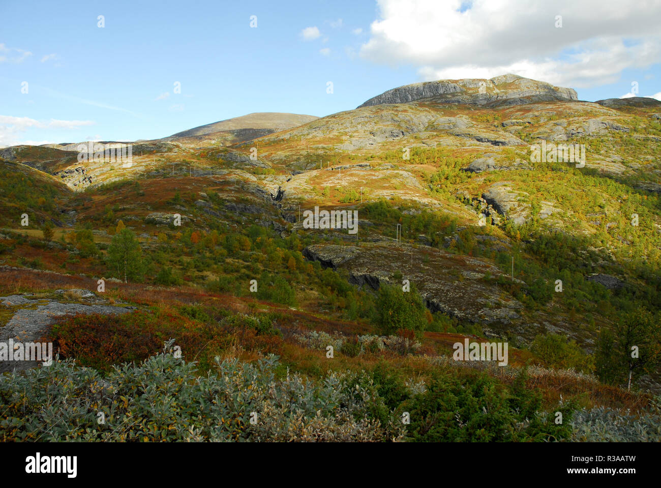 Filefjell hi-res stock photography and images - Alamy