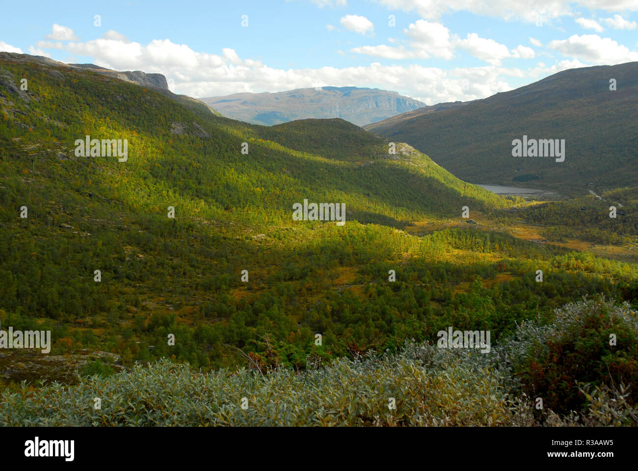 Filefjell hi-res stock photography and images - Alamy