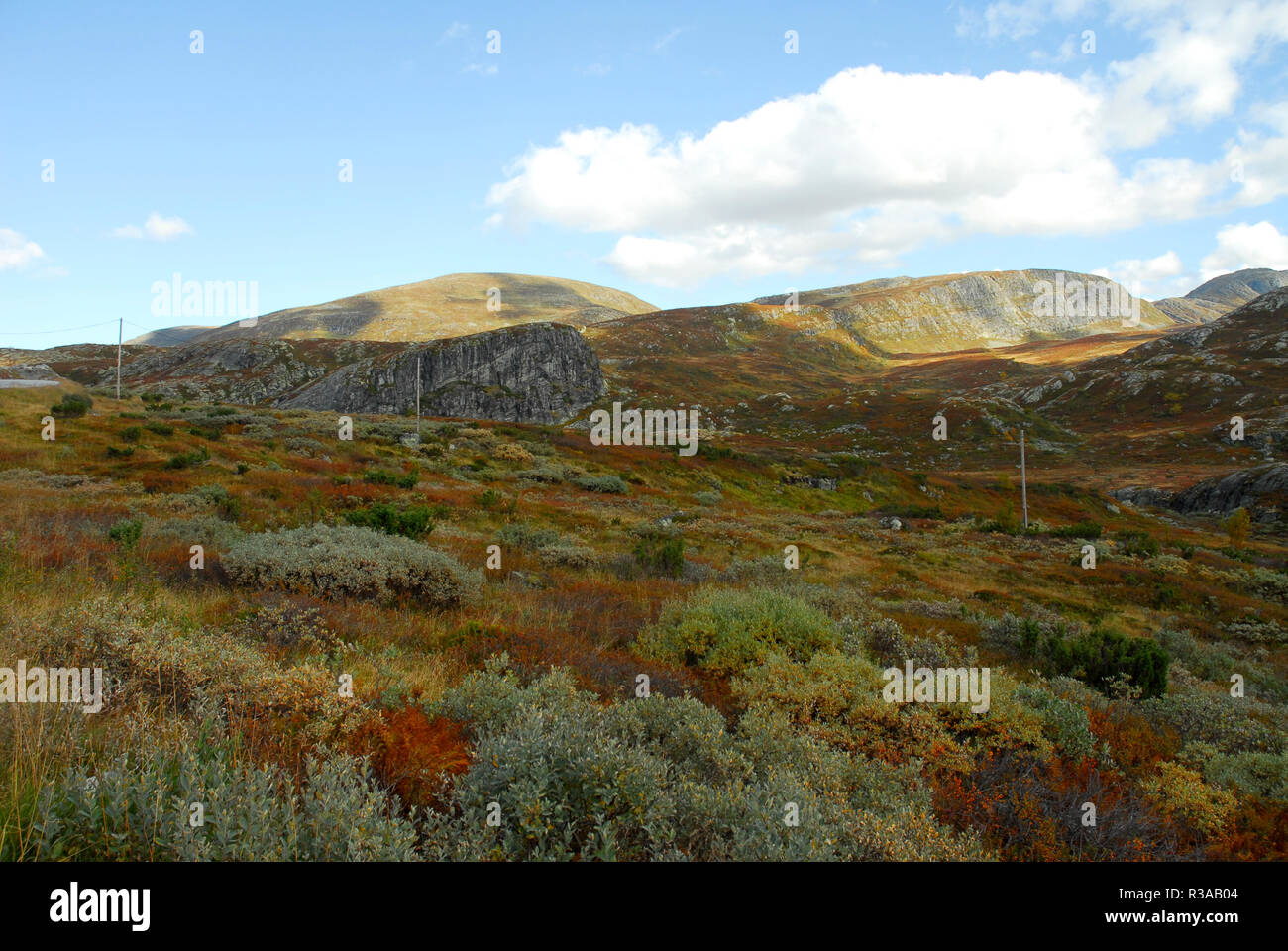 Filefjell hi-res stock photography and images - Alamy