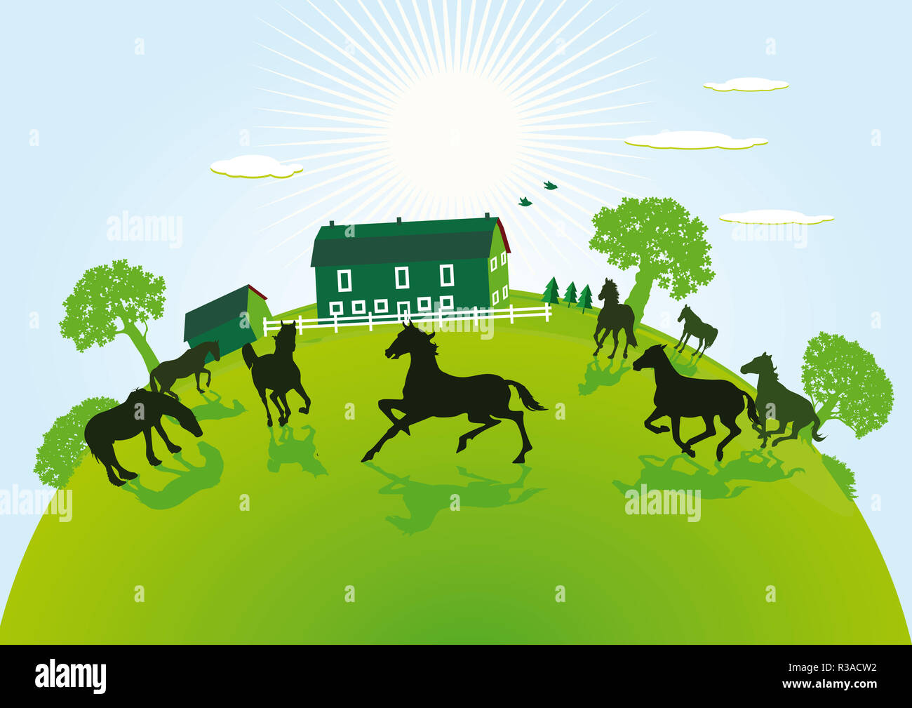 Deckhengst hi-res stock photography and images - Alamy