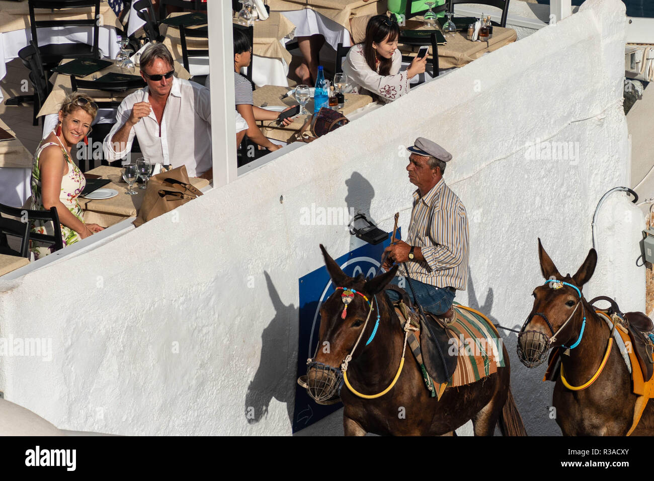 Mule train hi-res stock photography and images - Alamy