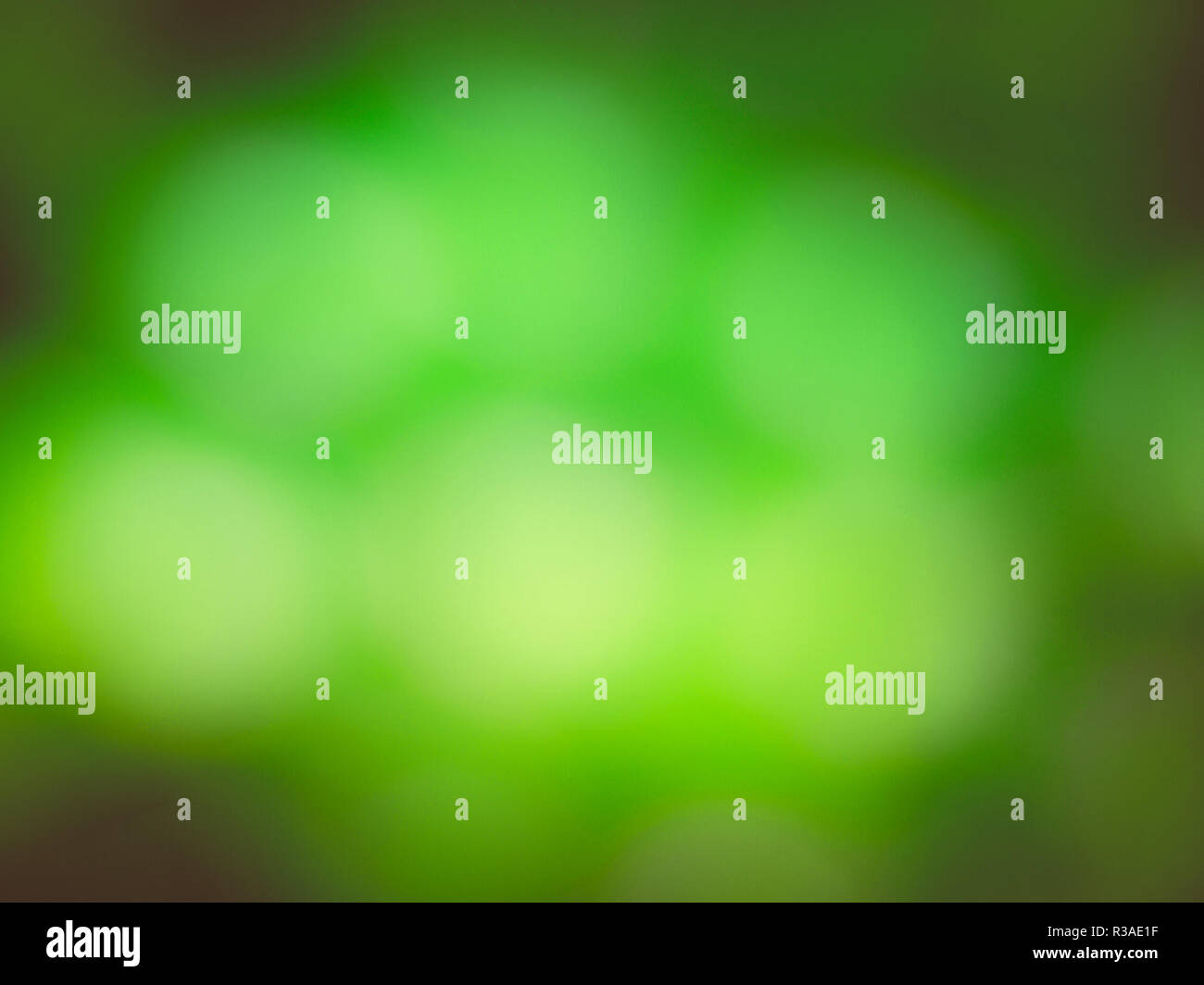 Strobo hi-res stock photography and images - Alamy
