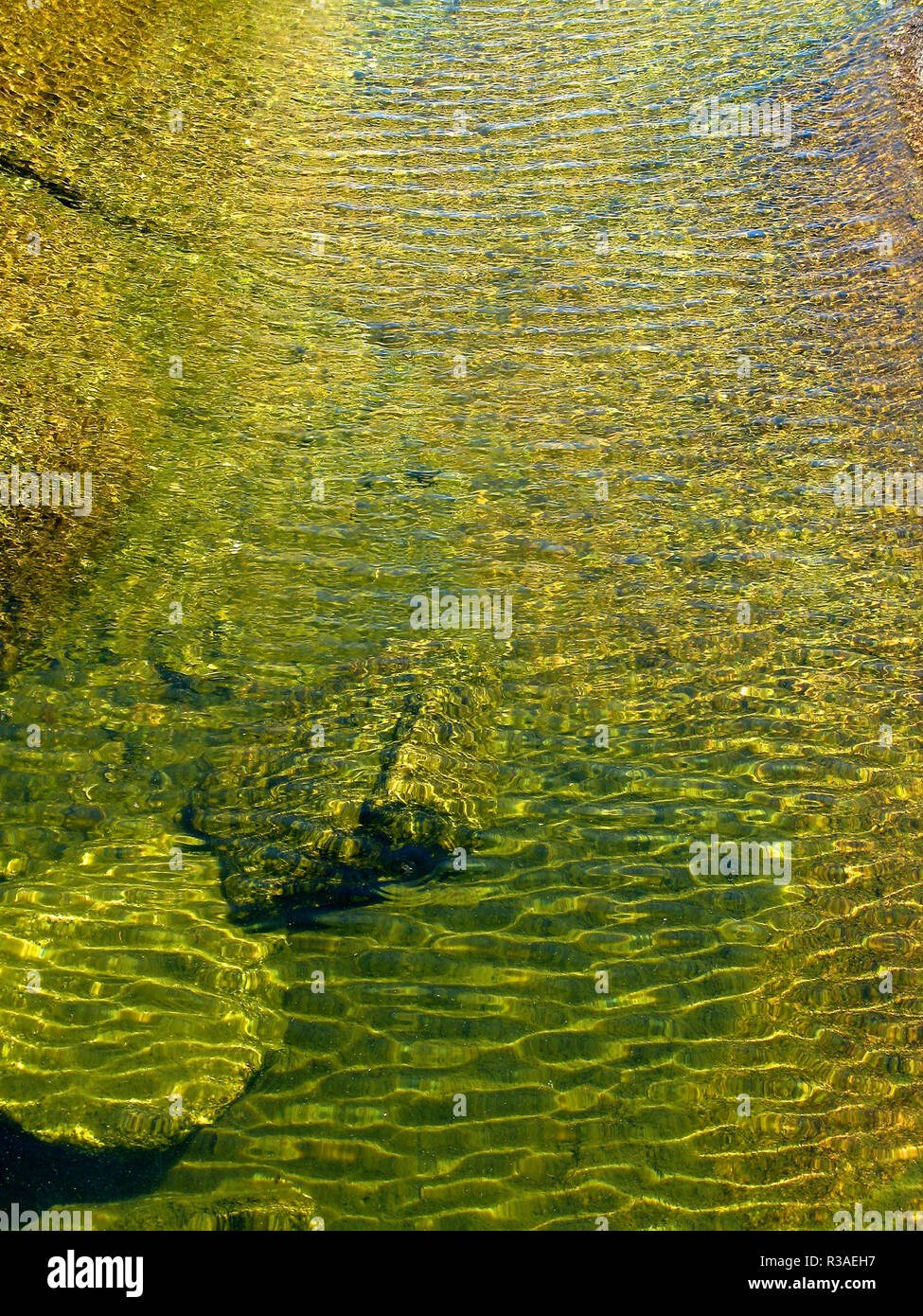 colorful sea water Stock Photo - Alamy