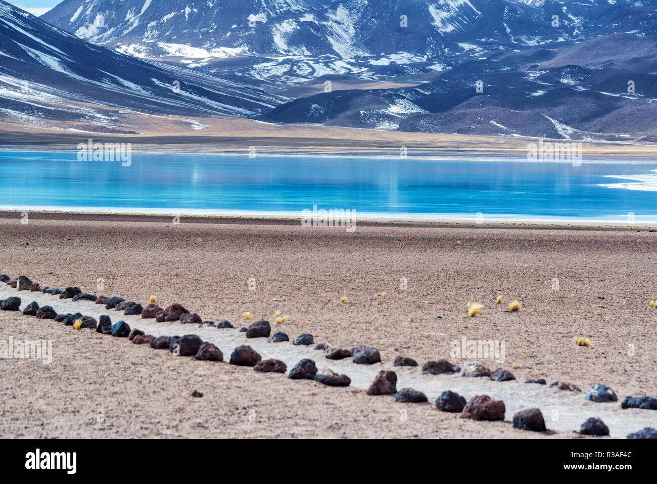 Laguna miniques northern chile hi-res stock photography and images - Alamy