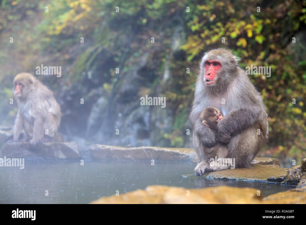 Nomi japan hi-res stock photography and images - Alamy