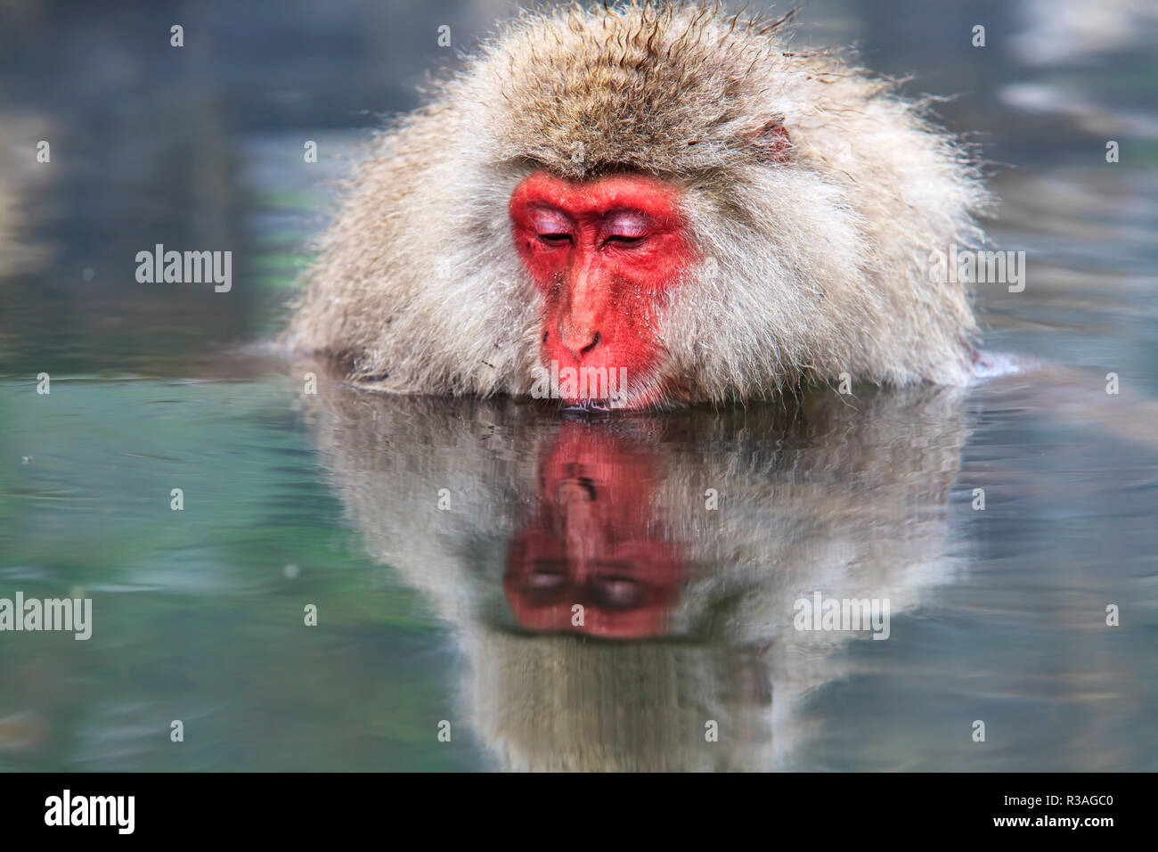 Nomi japan hi-res stock photography and images - Alamy