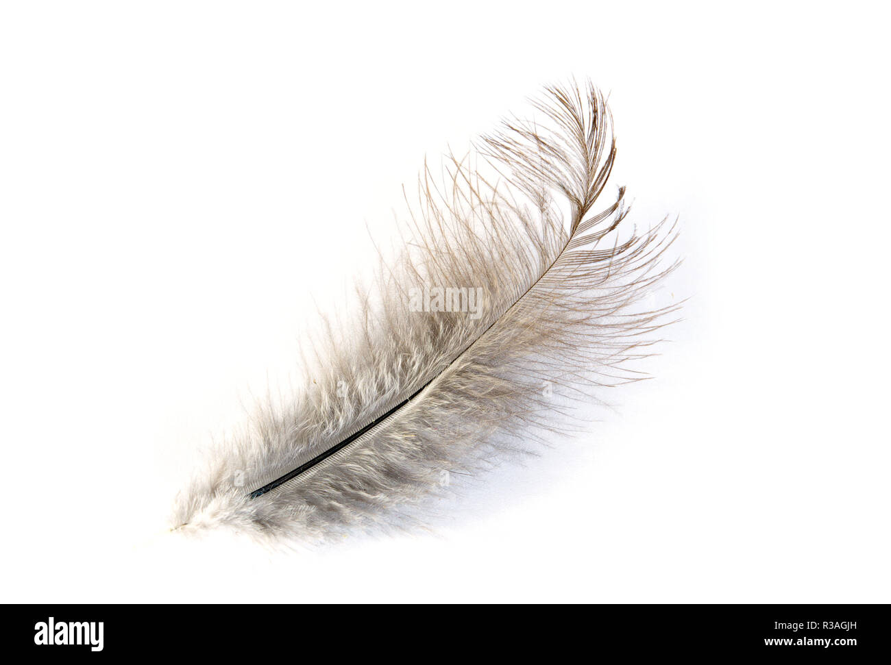 Fragile object Cut Out Stock Images & Pictures - Alamy