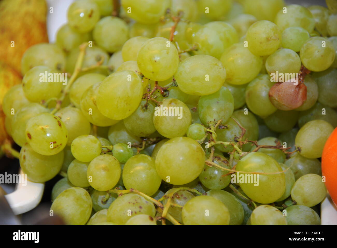 Grapes tavern hi-res stock photography and images - Alamy